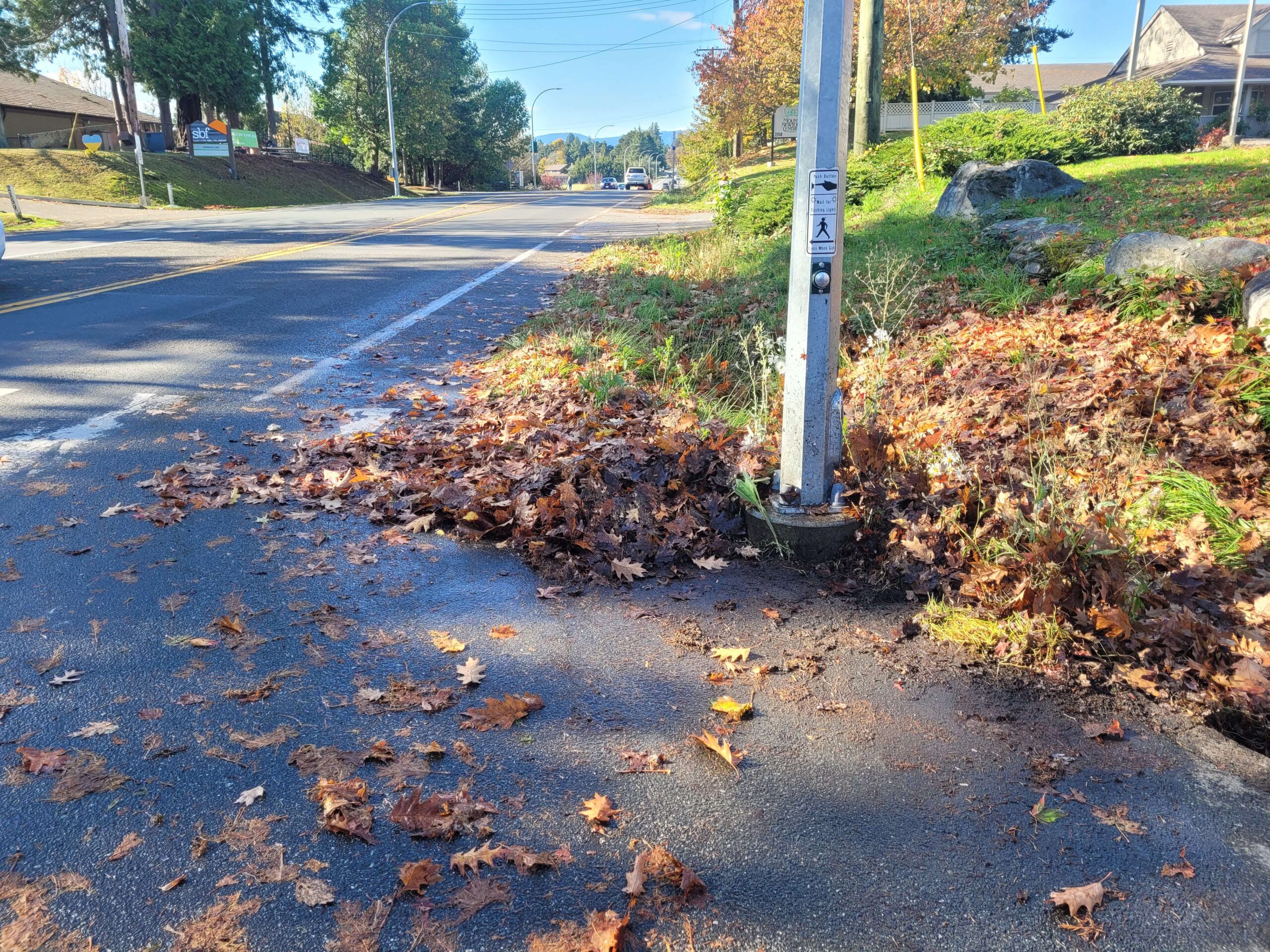 Turning Over a New Leaf: Expert Leaf Cleanup Strategies for a Pristine Lawn